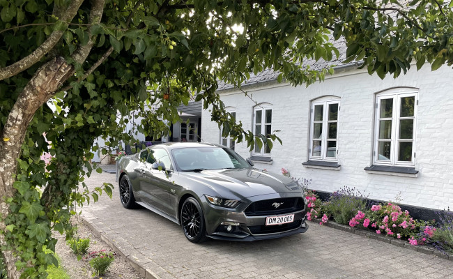 DZ21686 Ford Mustang 5.0 Ti-vct V8 Fastback Baghjulstræk Automatisk