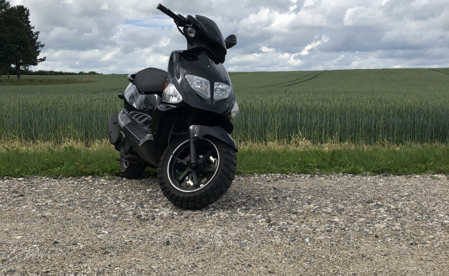 CY6974 Pgo Dr. Big P2