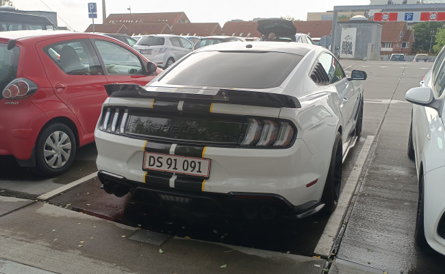 DS91091 Ford Mustang Fastback