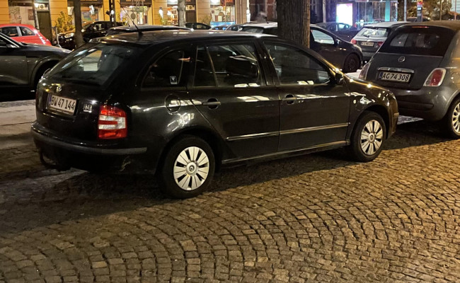 BW47144 Skoda Fabia 1,4 Combi